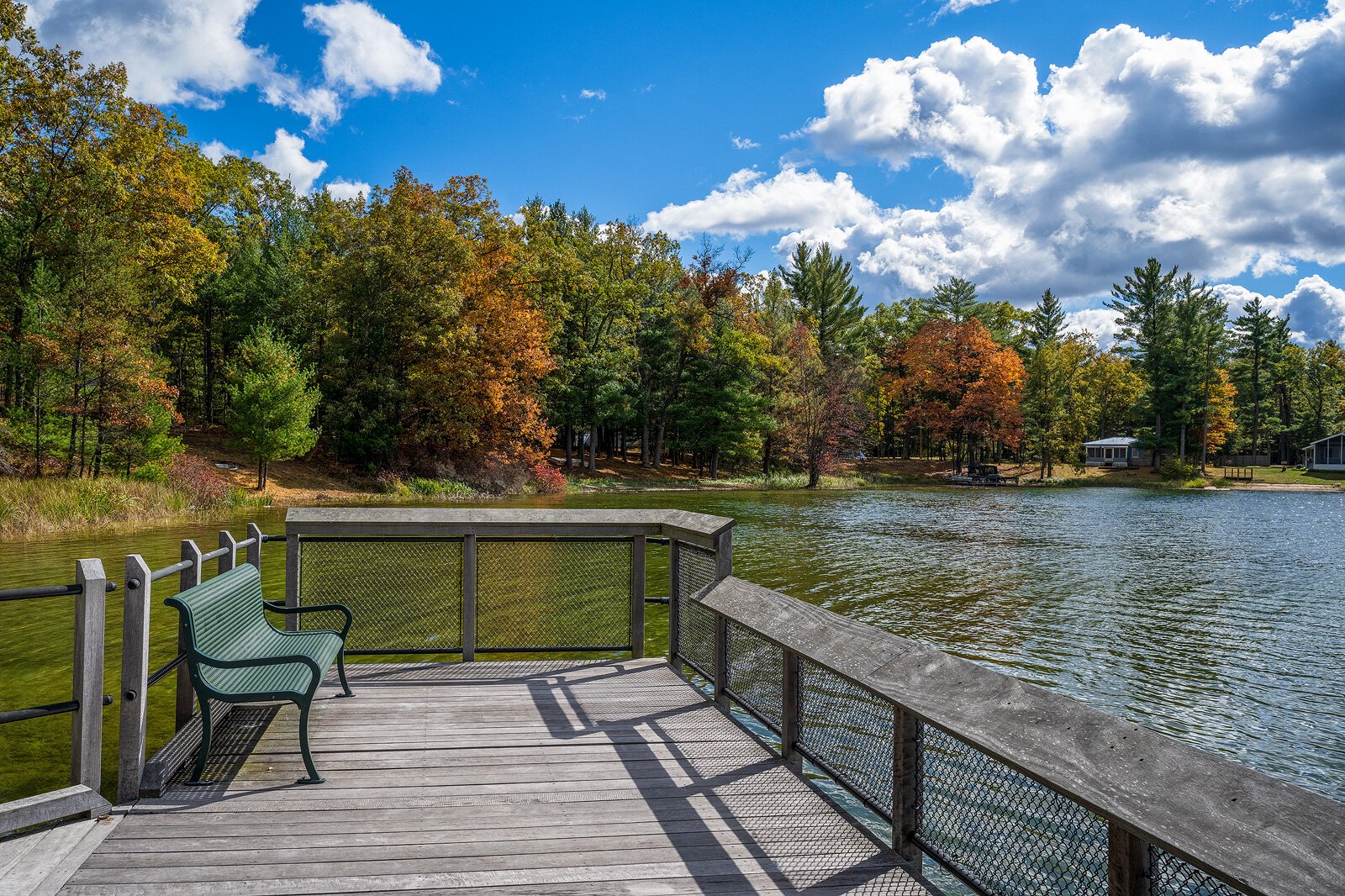 Michigan's 'Black Eden': A short history of Idlewild – Rapid Growth